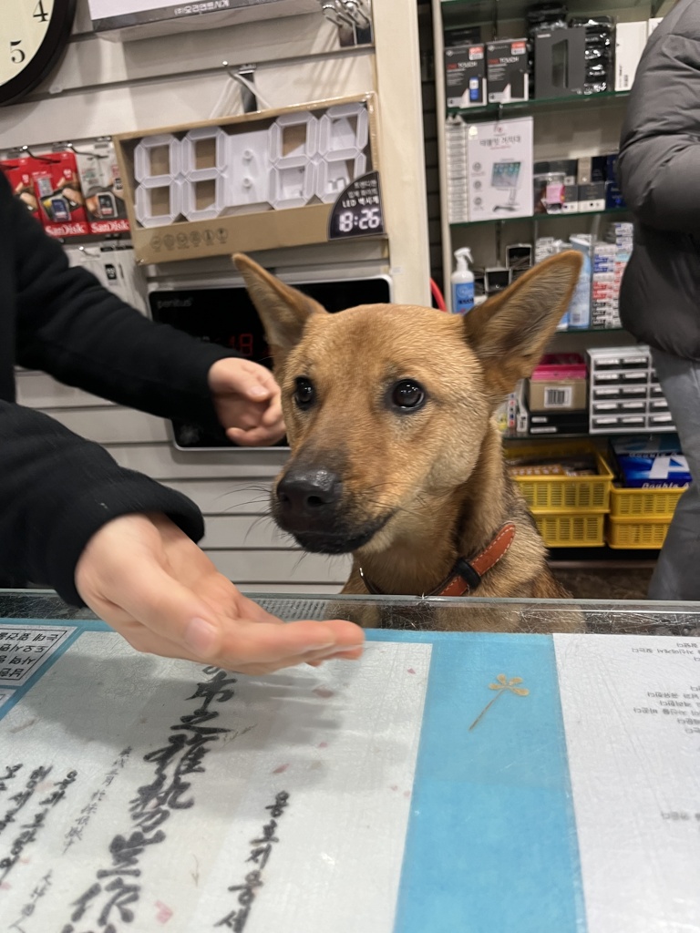 가볍고 향좋고 사용하기편리햐요ㅎㅎㅇㅎ